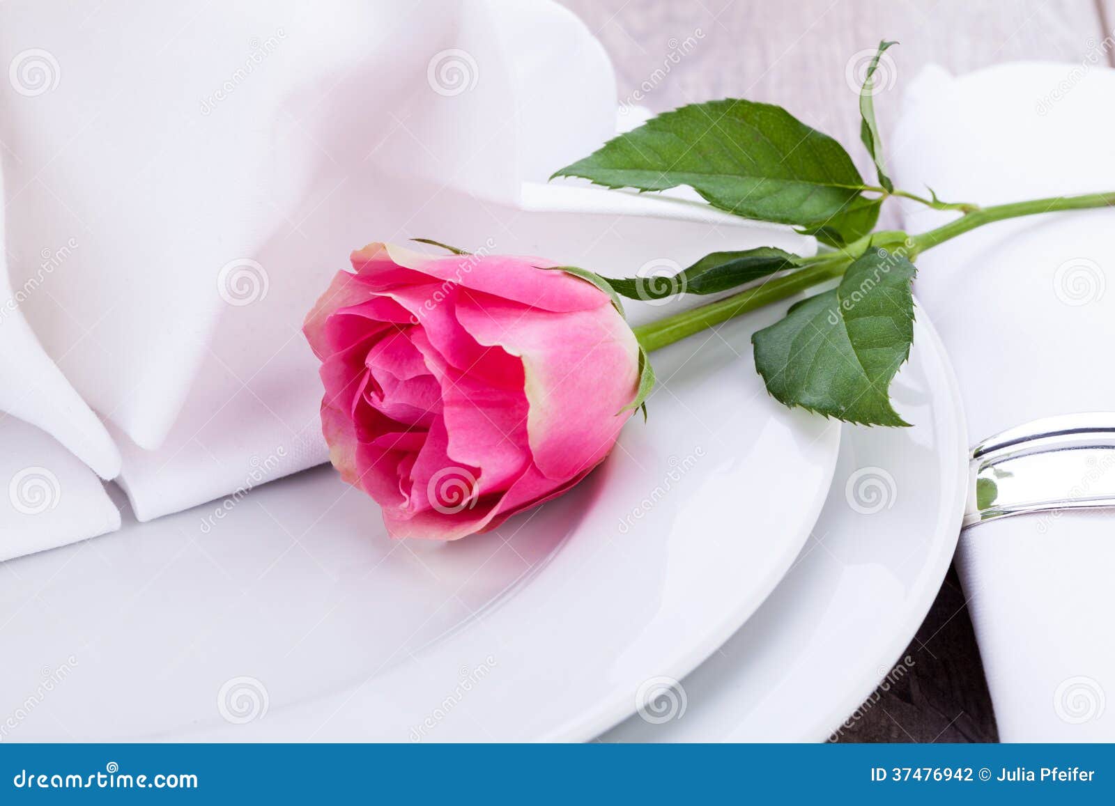 Table Setting with a Single Pink Rose Stock Photo - Image of dinner ...