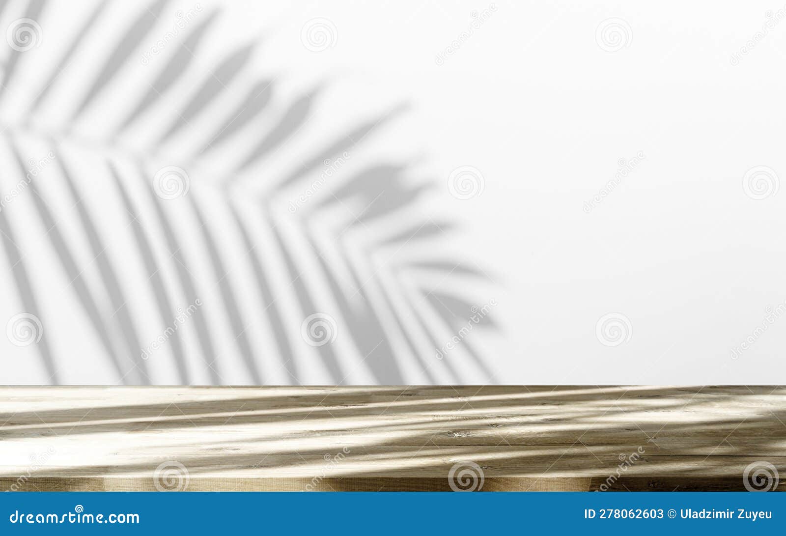Table Shadow Background. Wooden Table and White Empty Wall with Plant ...