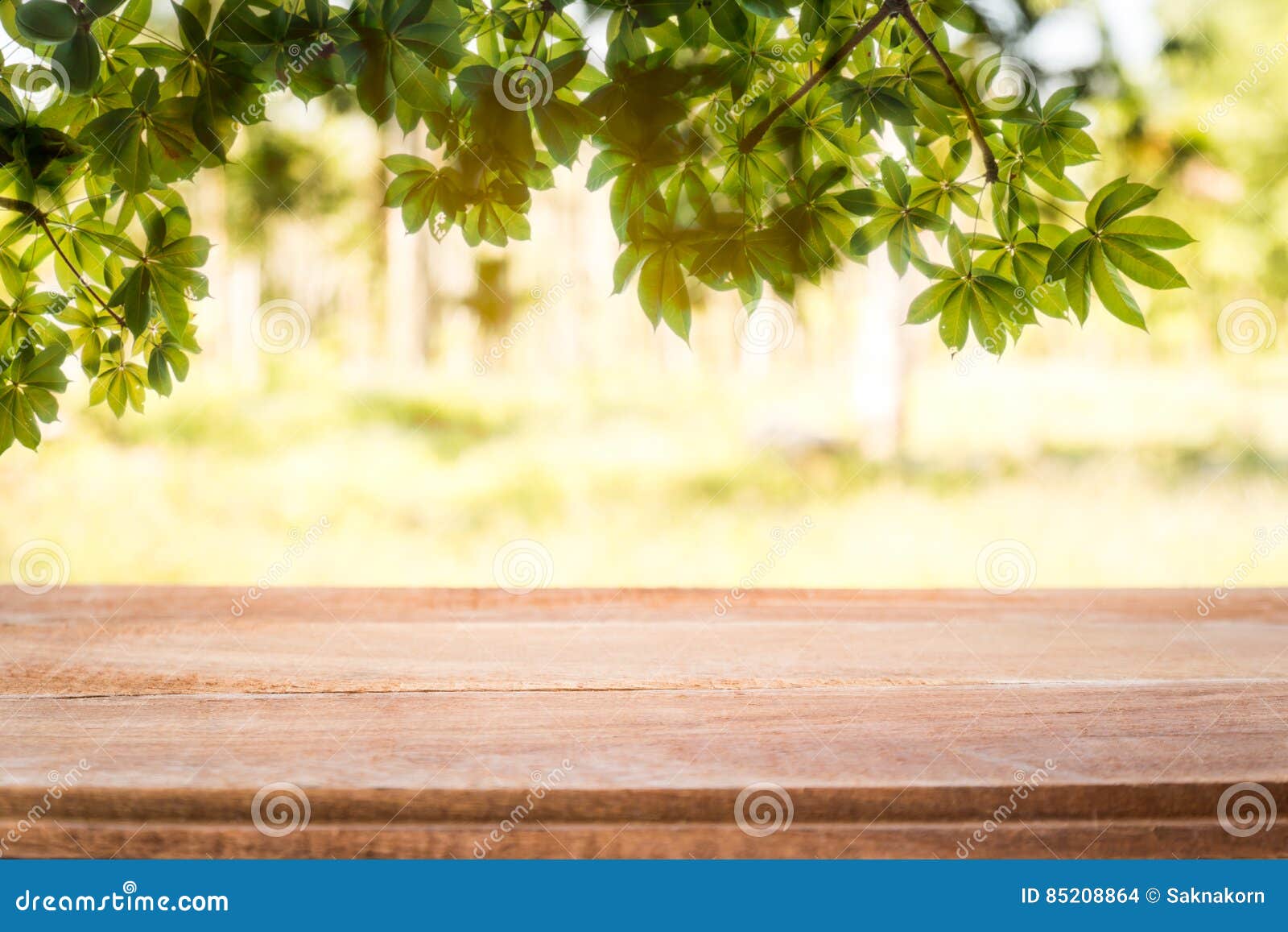 Table and Sunlight with Blurred Trees Background Stock Photo - Image of ...