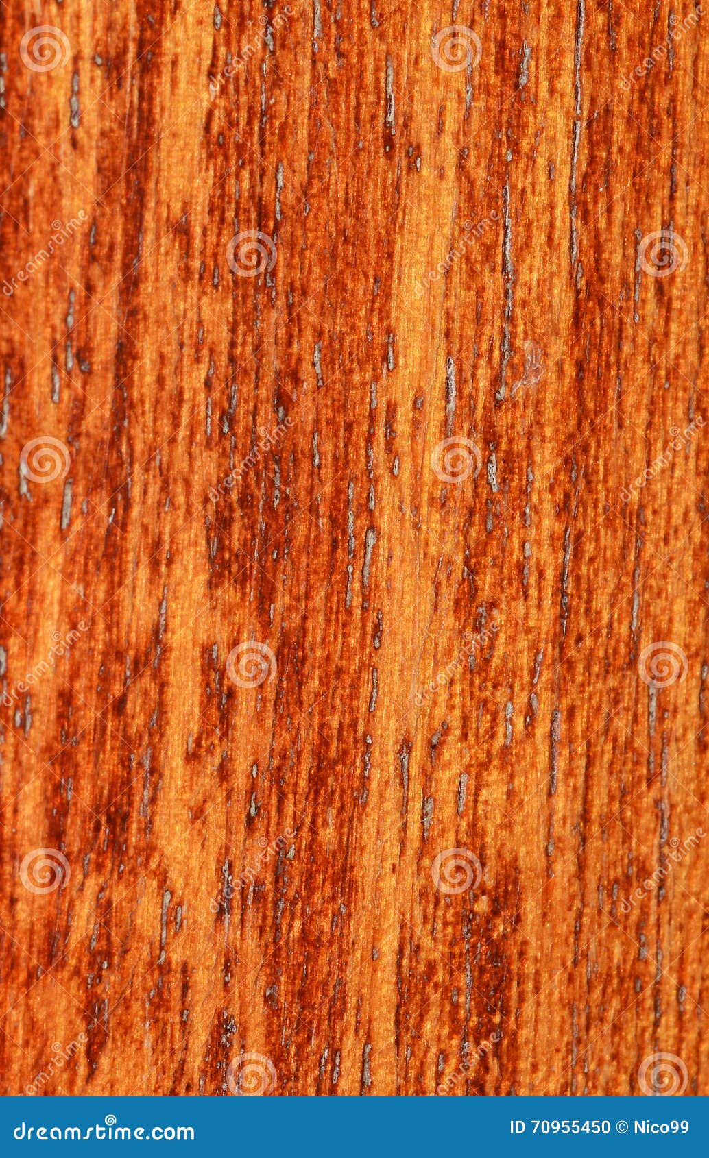 Table of teak wood stock photo. Image of abstract, tropical - 70955450