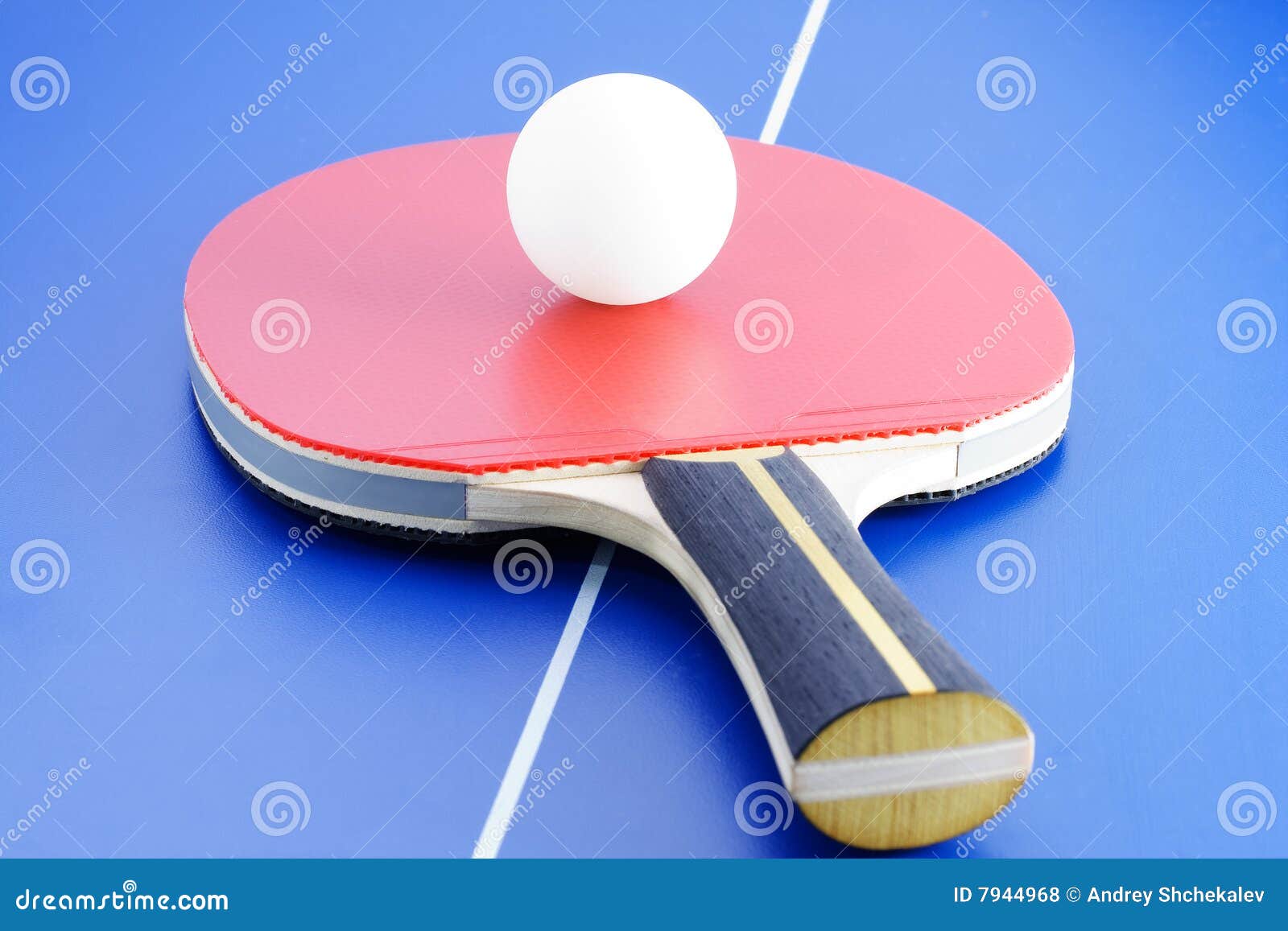 Table tennis equipment stock photo. Image of handle, ping - 7944968