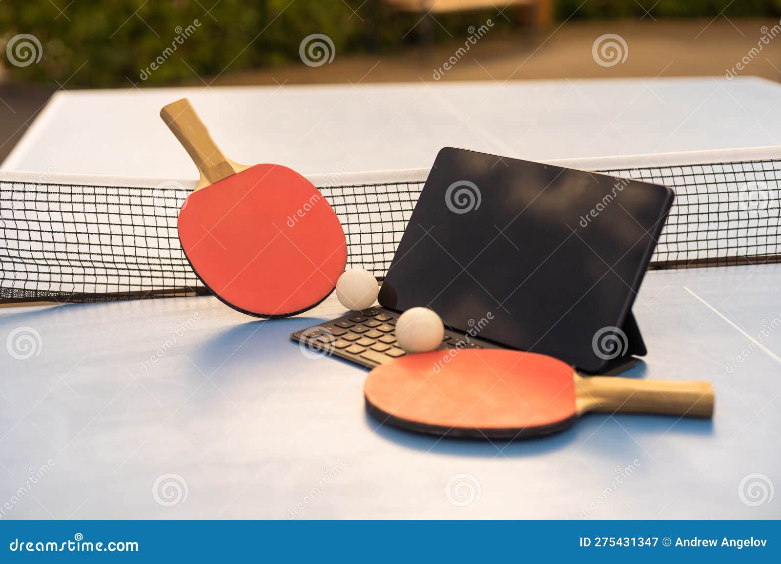 Table Tennis Ping-Pong Sport Activity Concept Stock Image - Image of ...