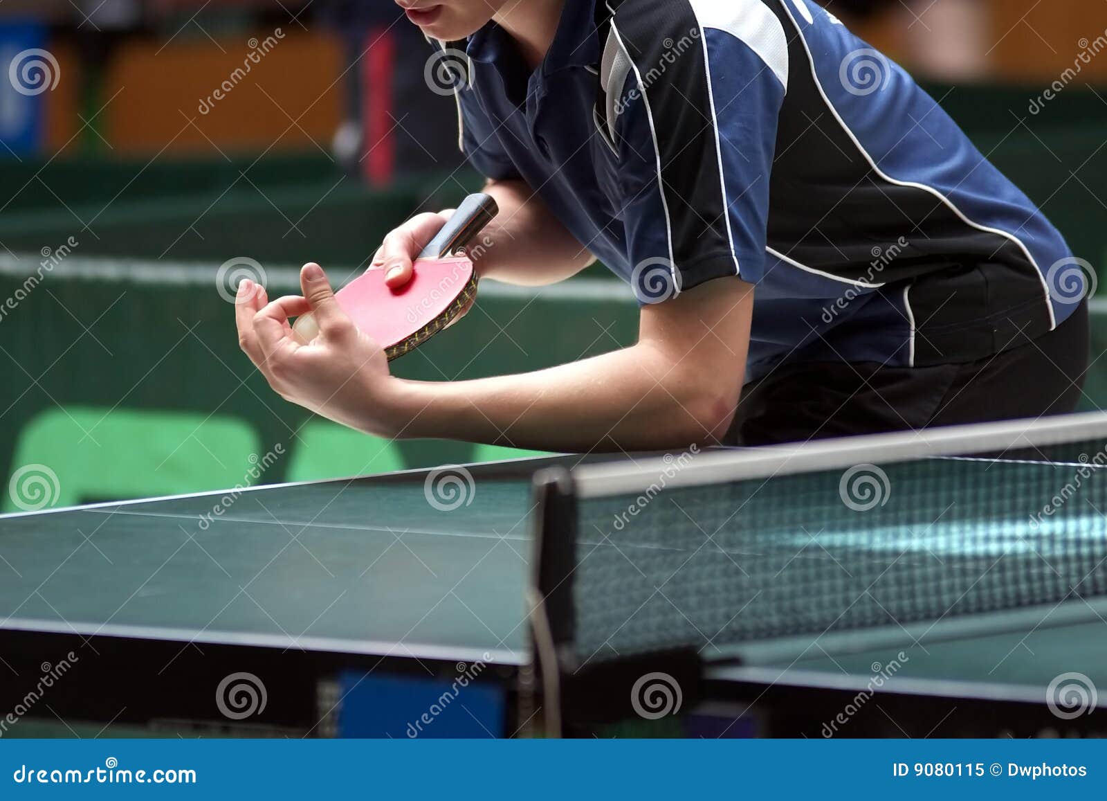 Table Tennis Player Serving Stock Image - Image of match, game: 9080115