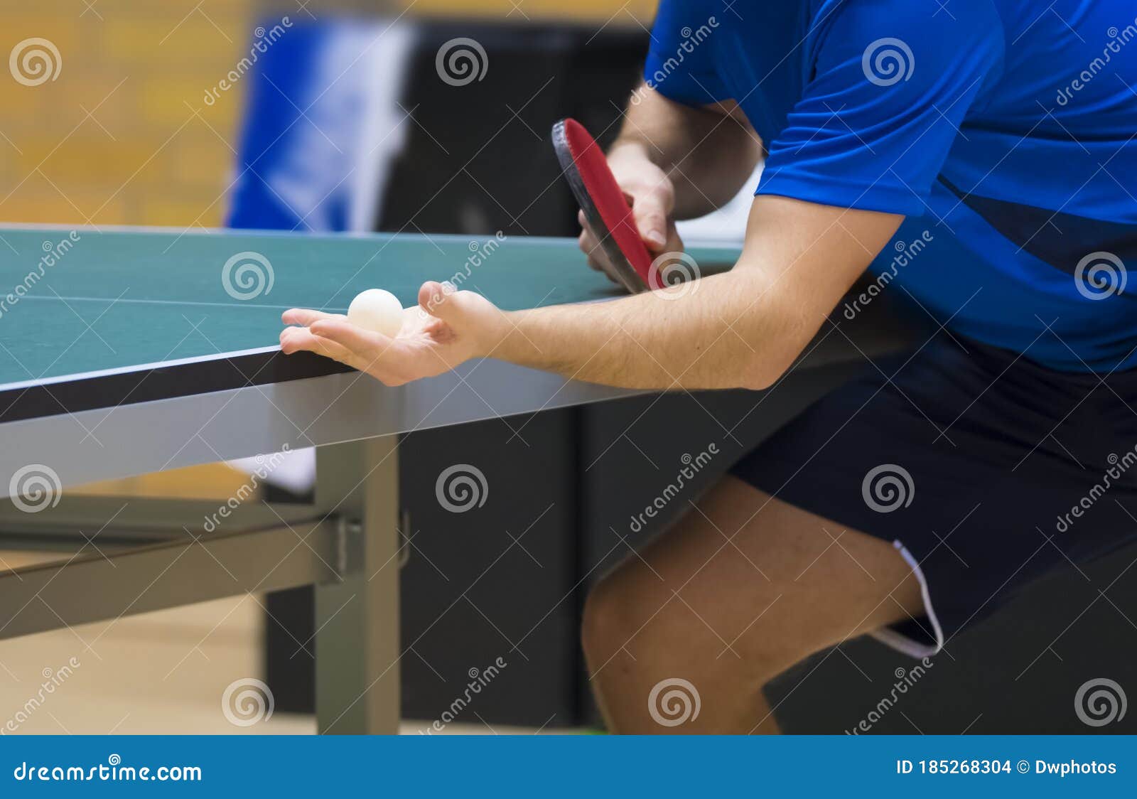 Table Tennis Player Serving Stock Photo - Image of match, leisure ...