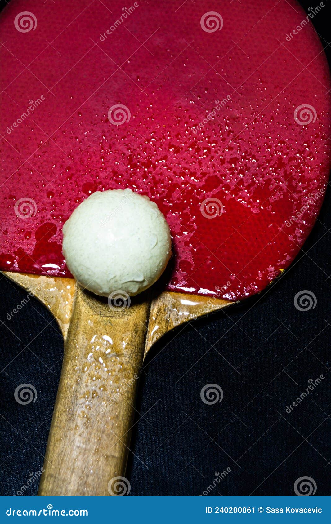 Table Tennis Racket and Ball Stock Image - Image of organ, petal: 240200061