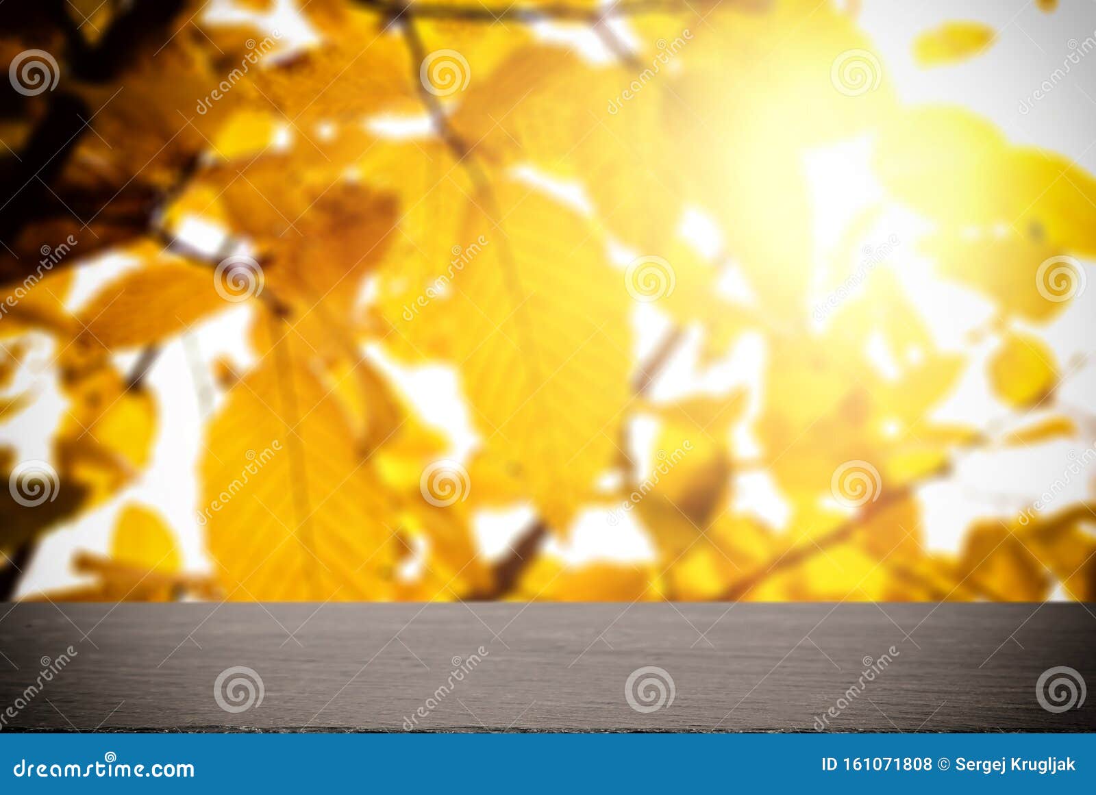 Table Top Against the Background of Autumn Leaves Stock Photo - Image ...
