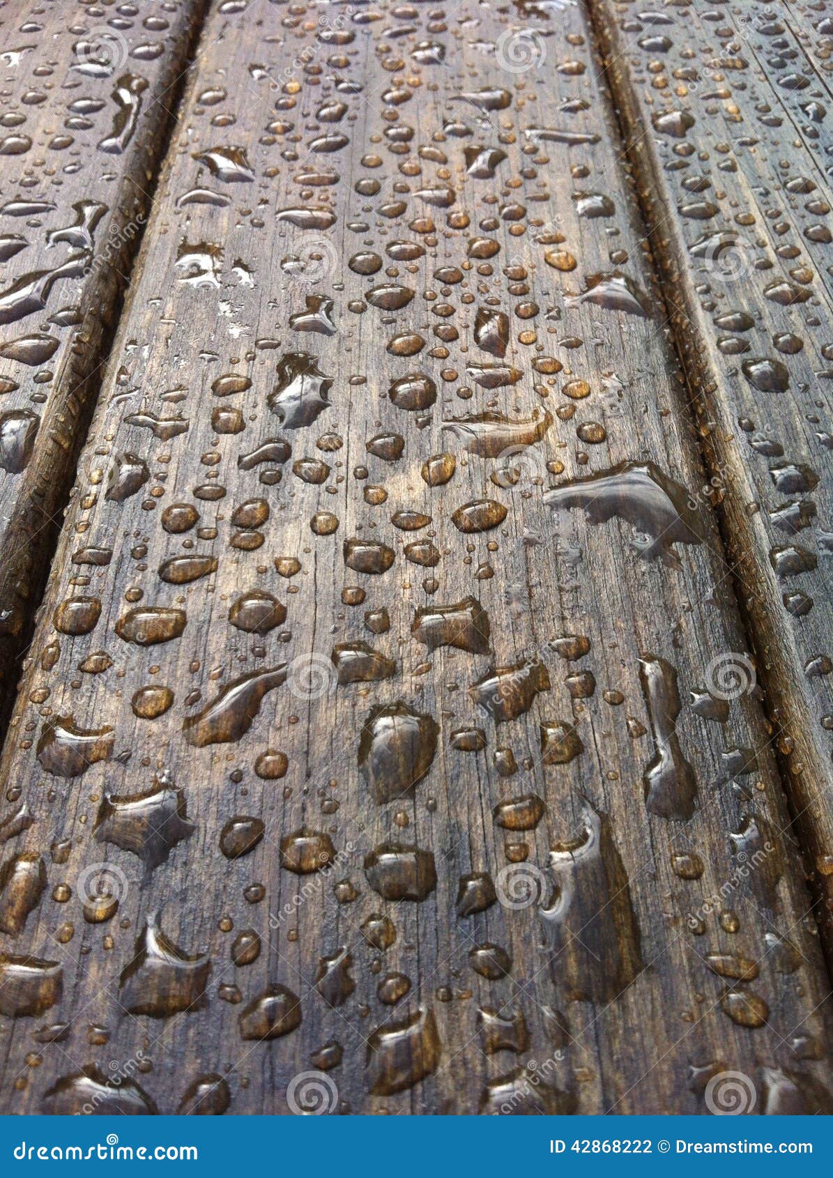 Table wet stock photo. Image of moist, rain, water, clammy - 42868222