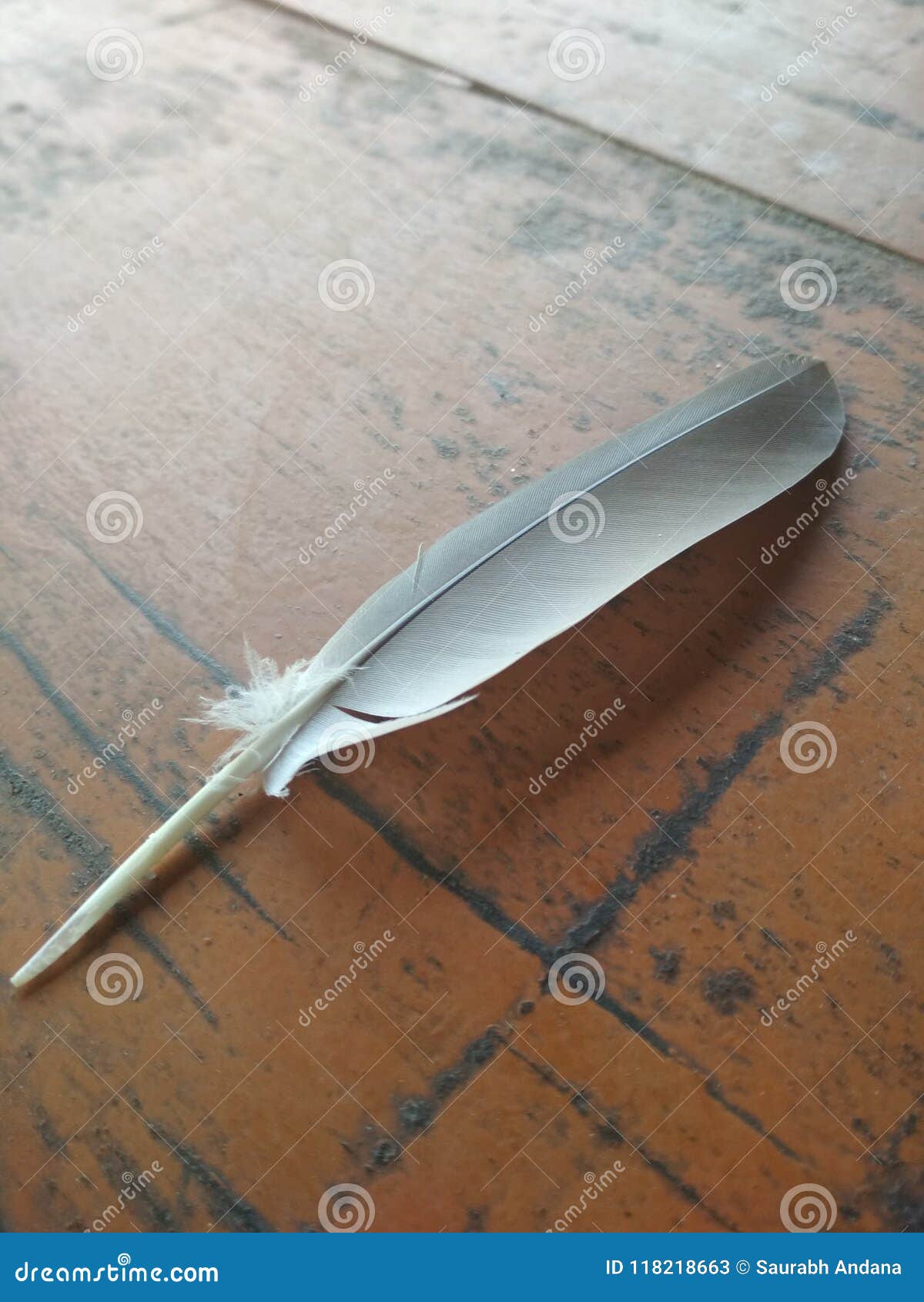 Table stock image. Image of white, pankh, black, table - 118218663