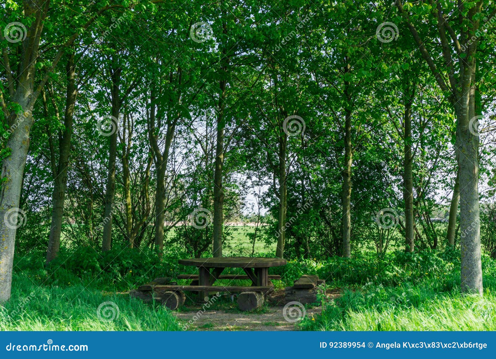 A table of wood stock photo. Image of holiday, green - 92389954