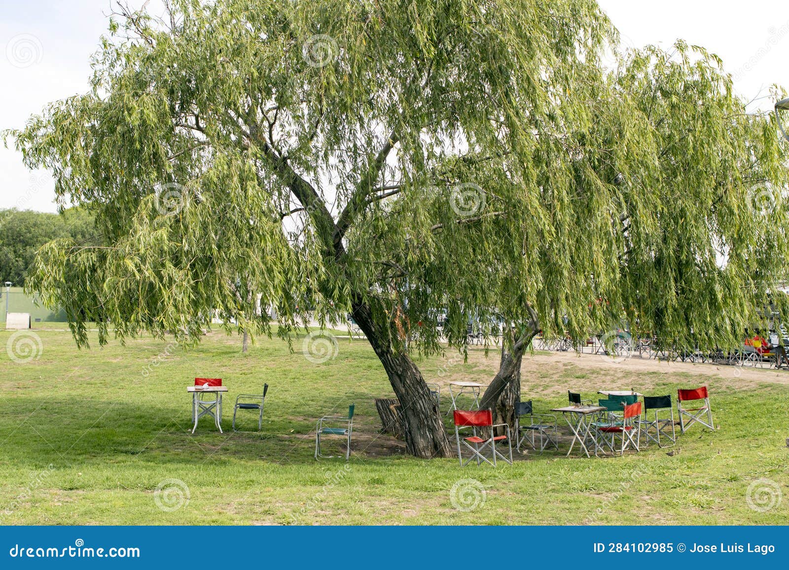 Tables and Chairs Under Big Tree in Park Stock Image - Image of ...