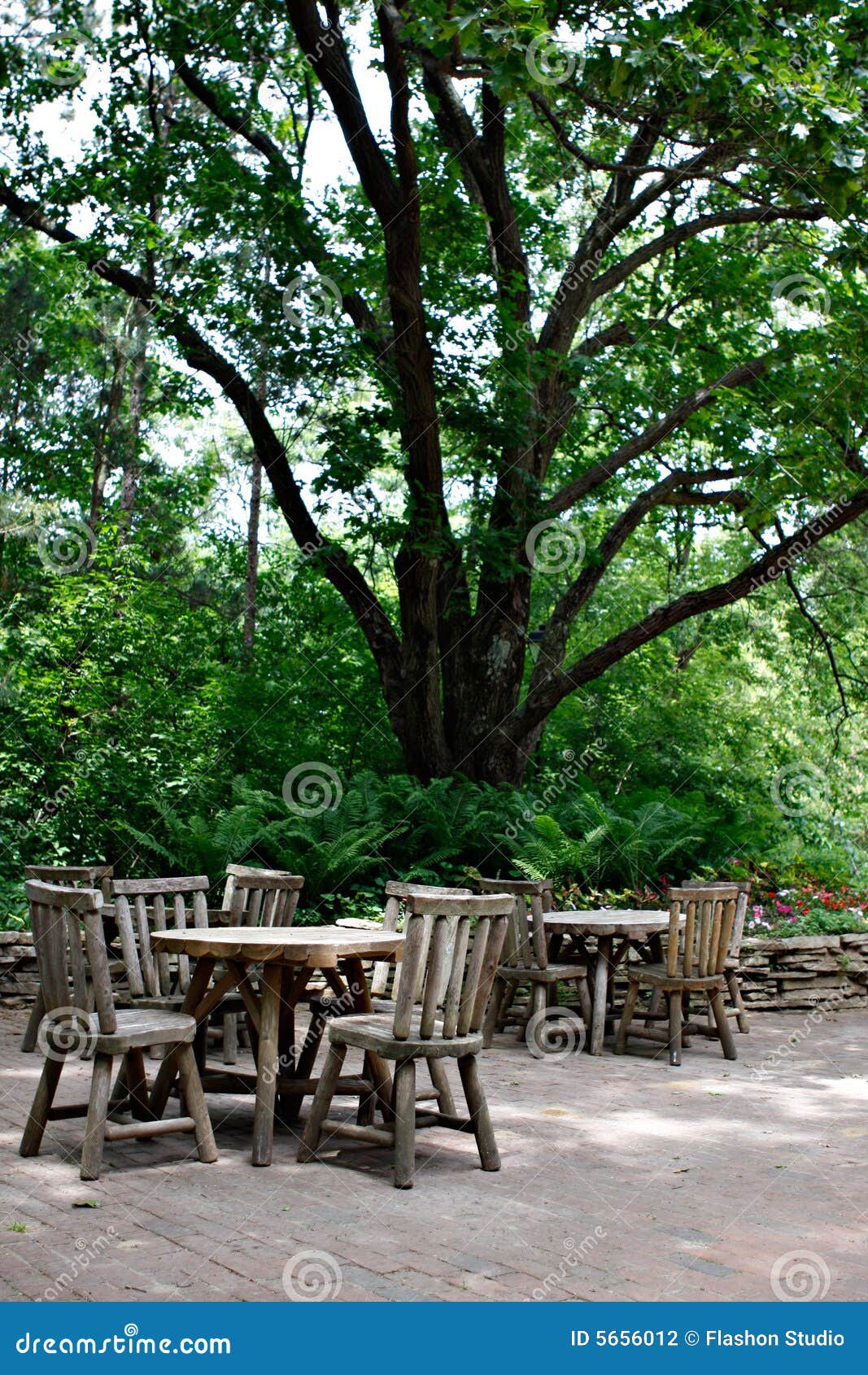 Tables under Big Tree stock photo. Image of tree, garden - 5656012