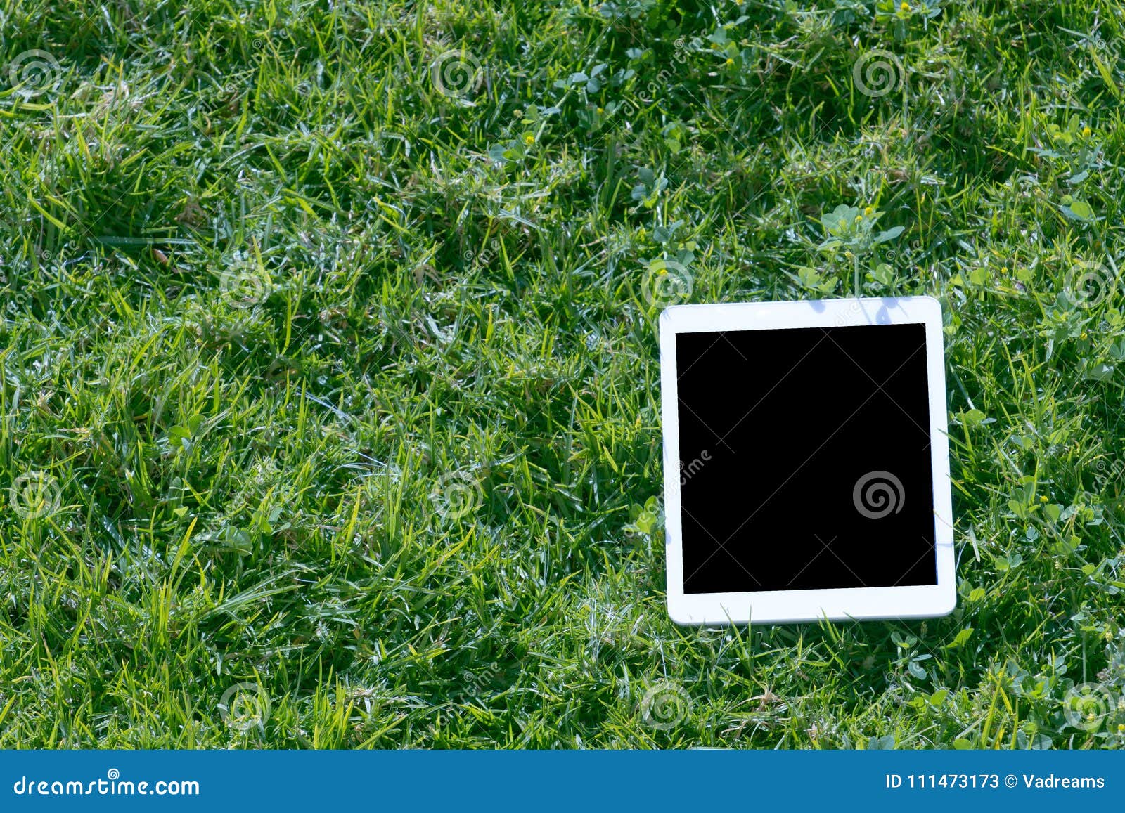 Tablet Computer Lying on the Grass Stock Image - Image of mock, laptop ...