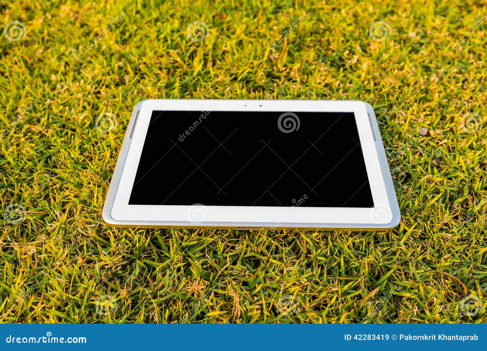 Tablet in Field stock image. Image of technology, connect - 42283419
