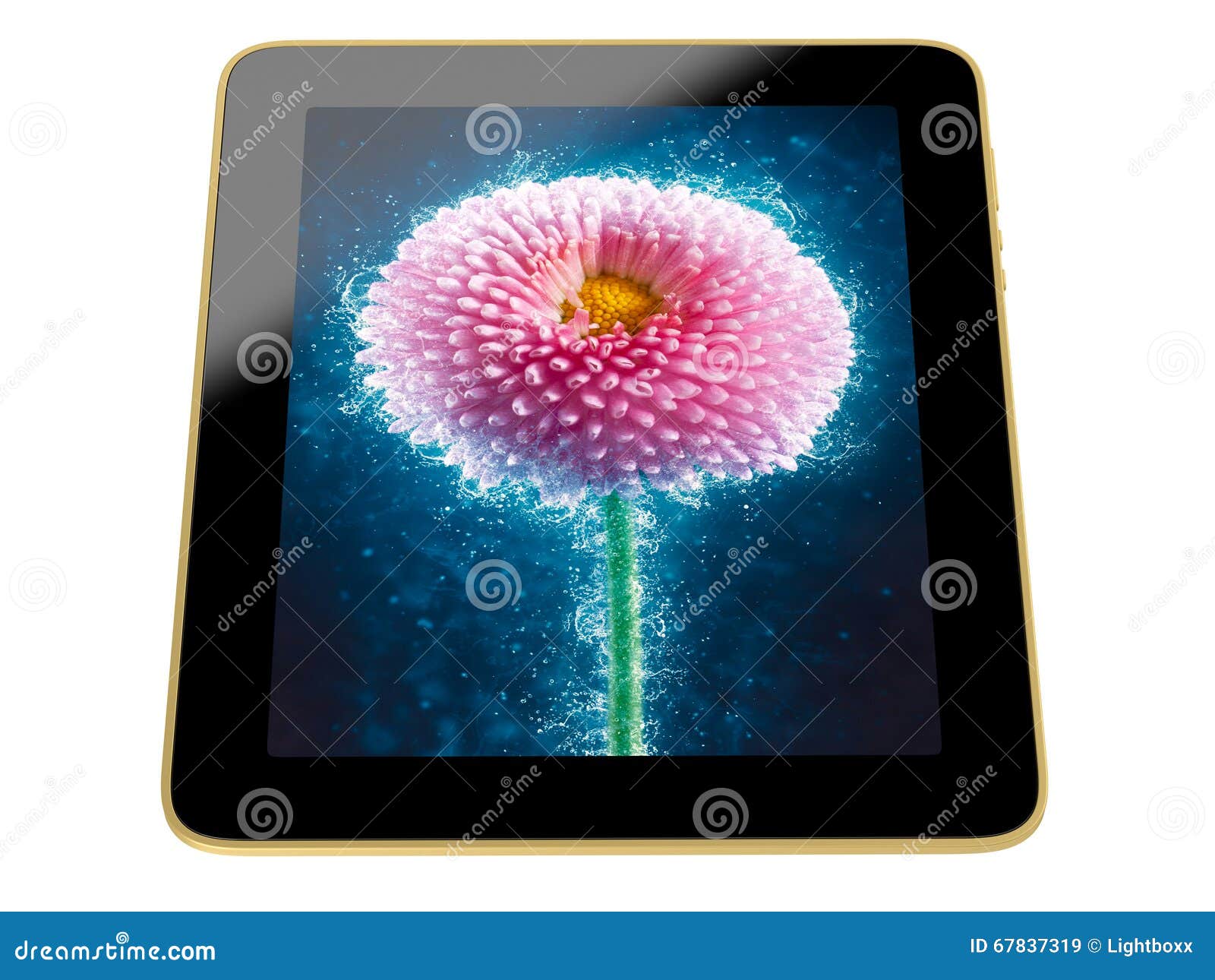Tablet - flower image stock image. Image of notepad, liquid - 67837319