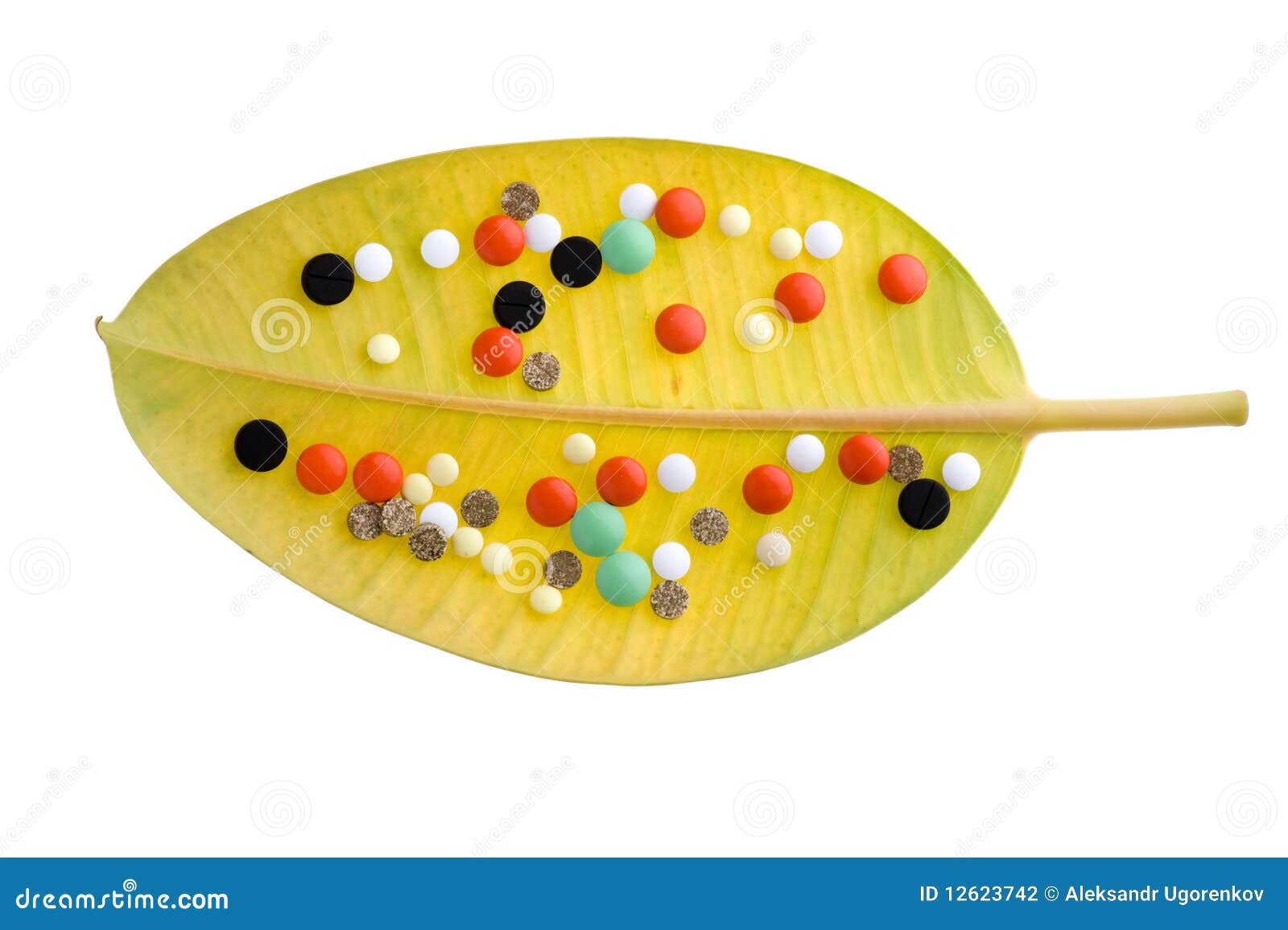 Tablet on leaf on white stock photo. Image of medical - 12623742