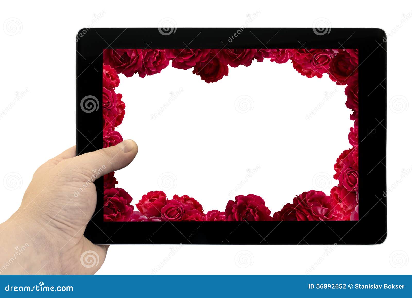 Tablet Pc Hand Frame Bush Red Rose Flowers Background Screen Isolated ...
