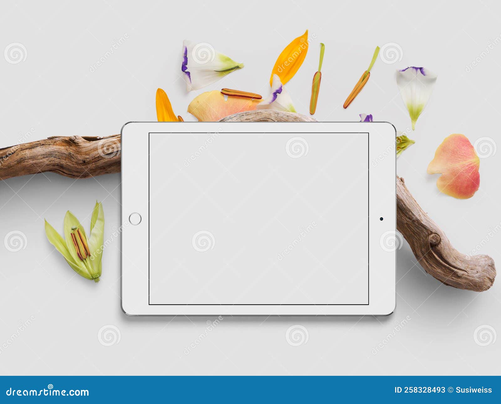 Tablet Pc with Leaves on White, Illustration Stock Image - Image of ...