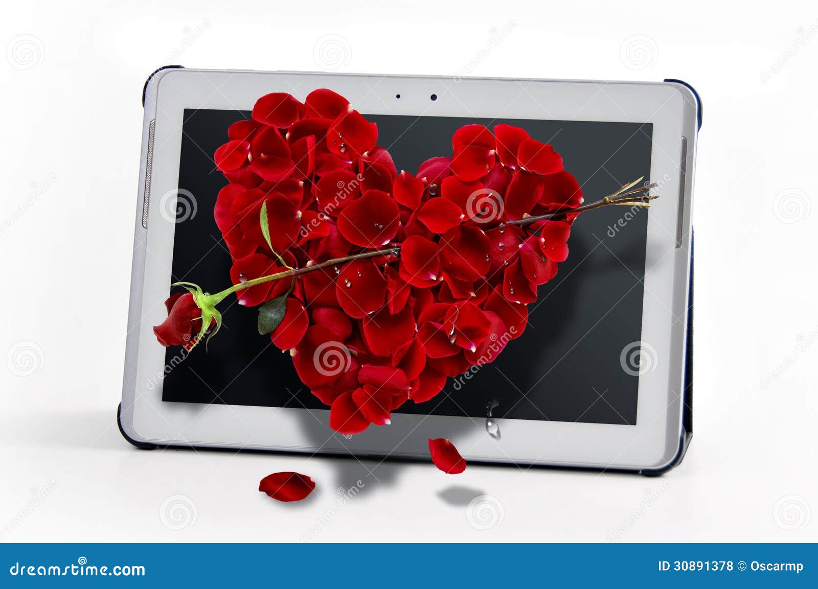 Tablet and roses stock photo. Image of digital, smartphone - 30891378