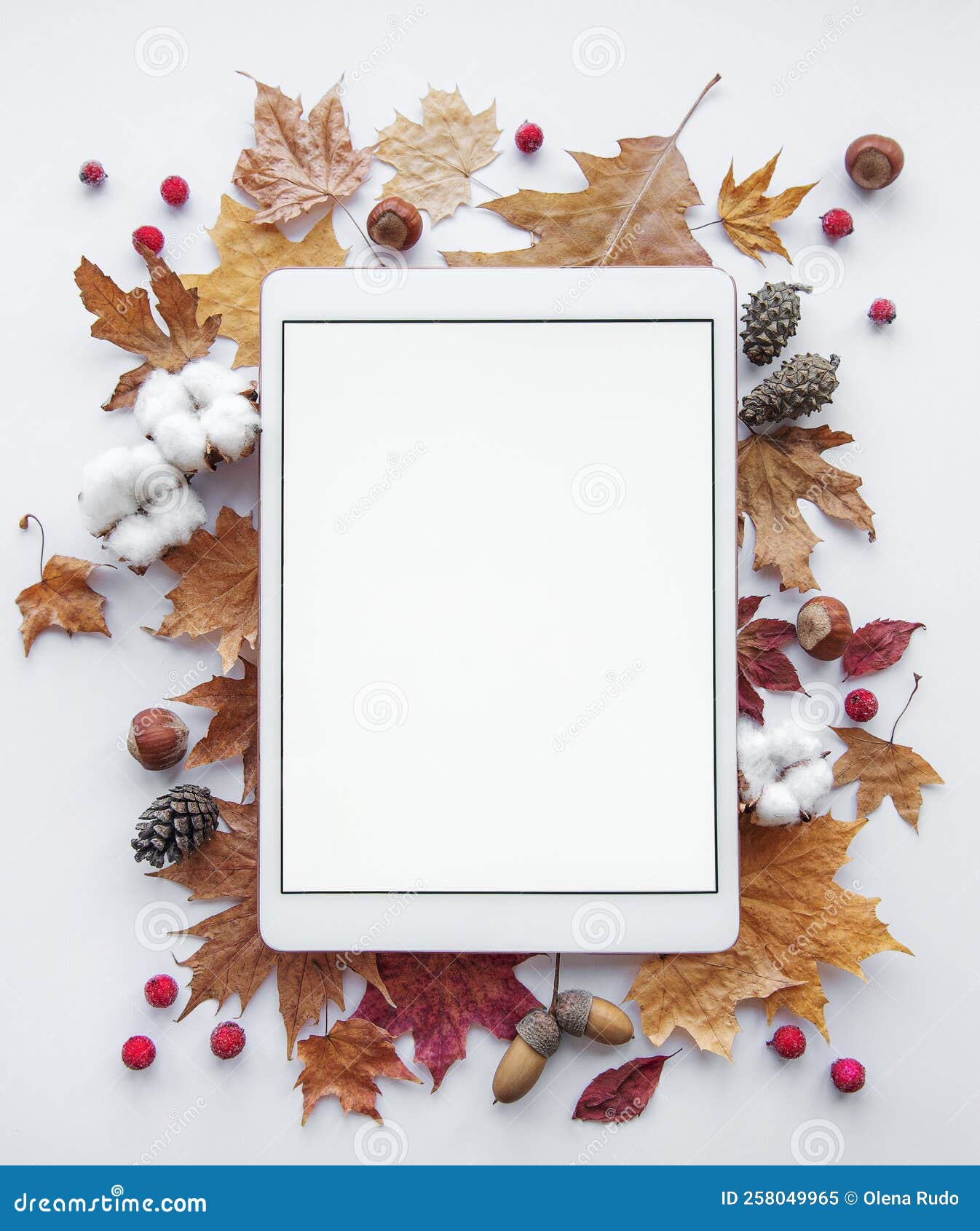 Tablet on a White Background with Colorful Autumn Leaves Stock Image ...