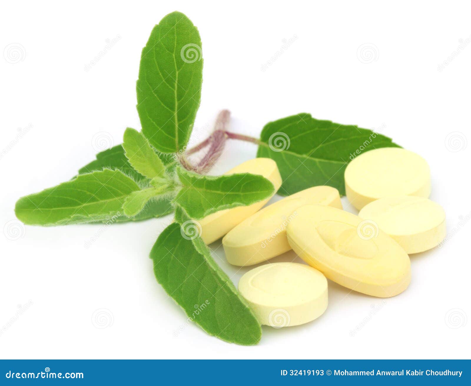 Tabletas Con Albahaca Santa Medicinal Imagen de archivo - Imagen de ...