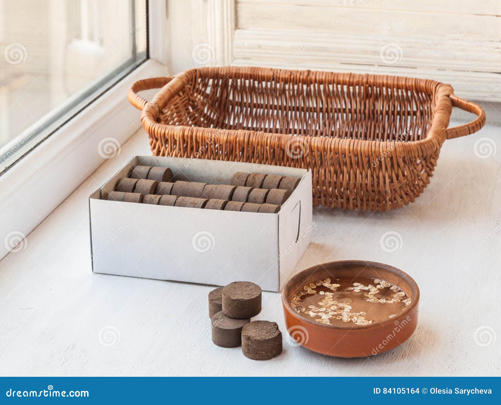 Tabuleta Embebida Sementes Da Bacia E Da Turfa Foto de Stock - Imagem ...