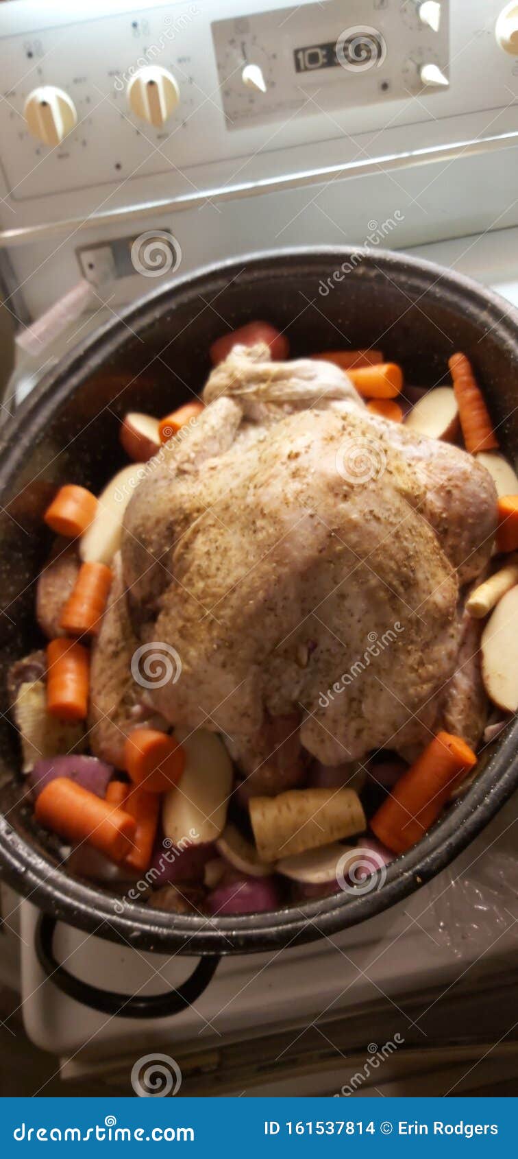 Tack arkivfoto. Bild av smaskigt, kalkon, tacksamt - 161537814