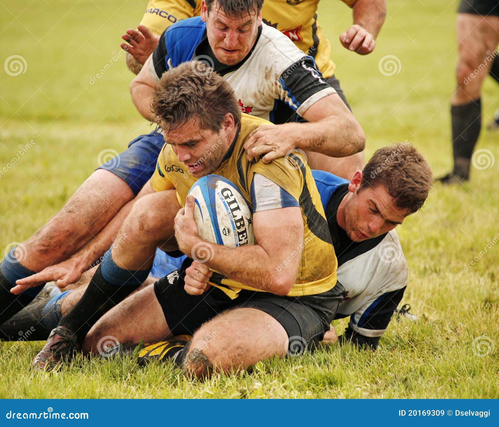 Tackled Down editorial stock image. Image of tackle, force - 20169309