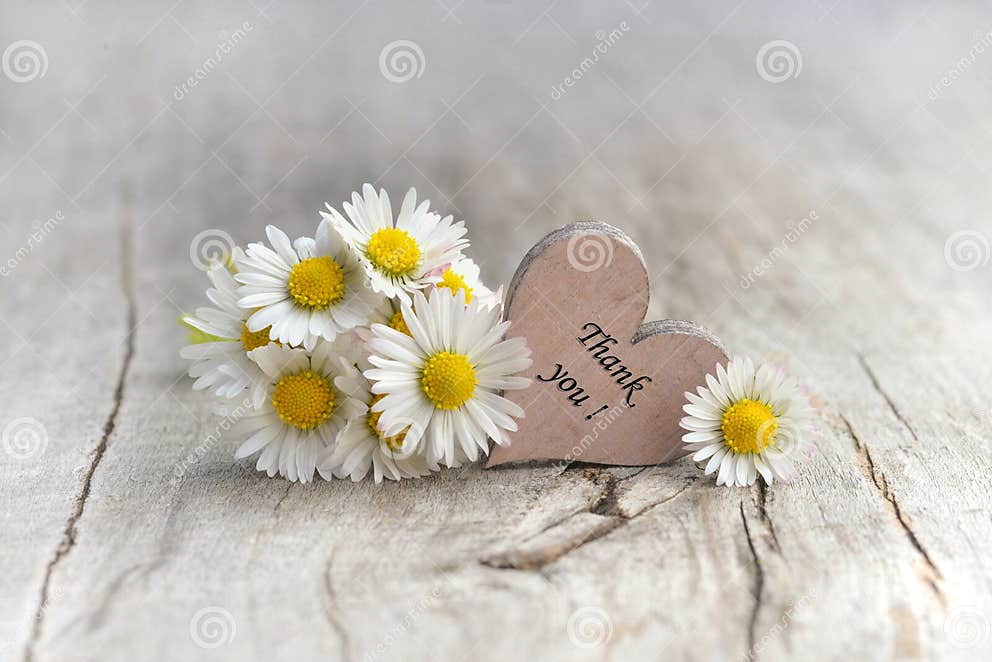 Tacksamhet - tacka dig fotografering för bildbyråer. Bild av bakgrund ...