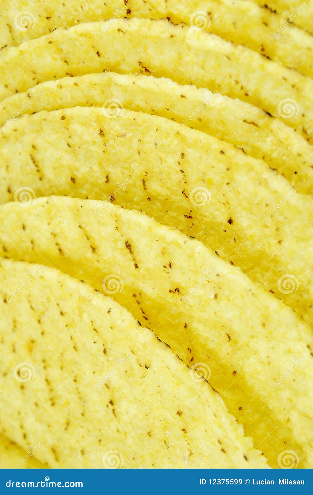 Taco shells stock image. Image of pastry, cook, crispy - 12375599