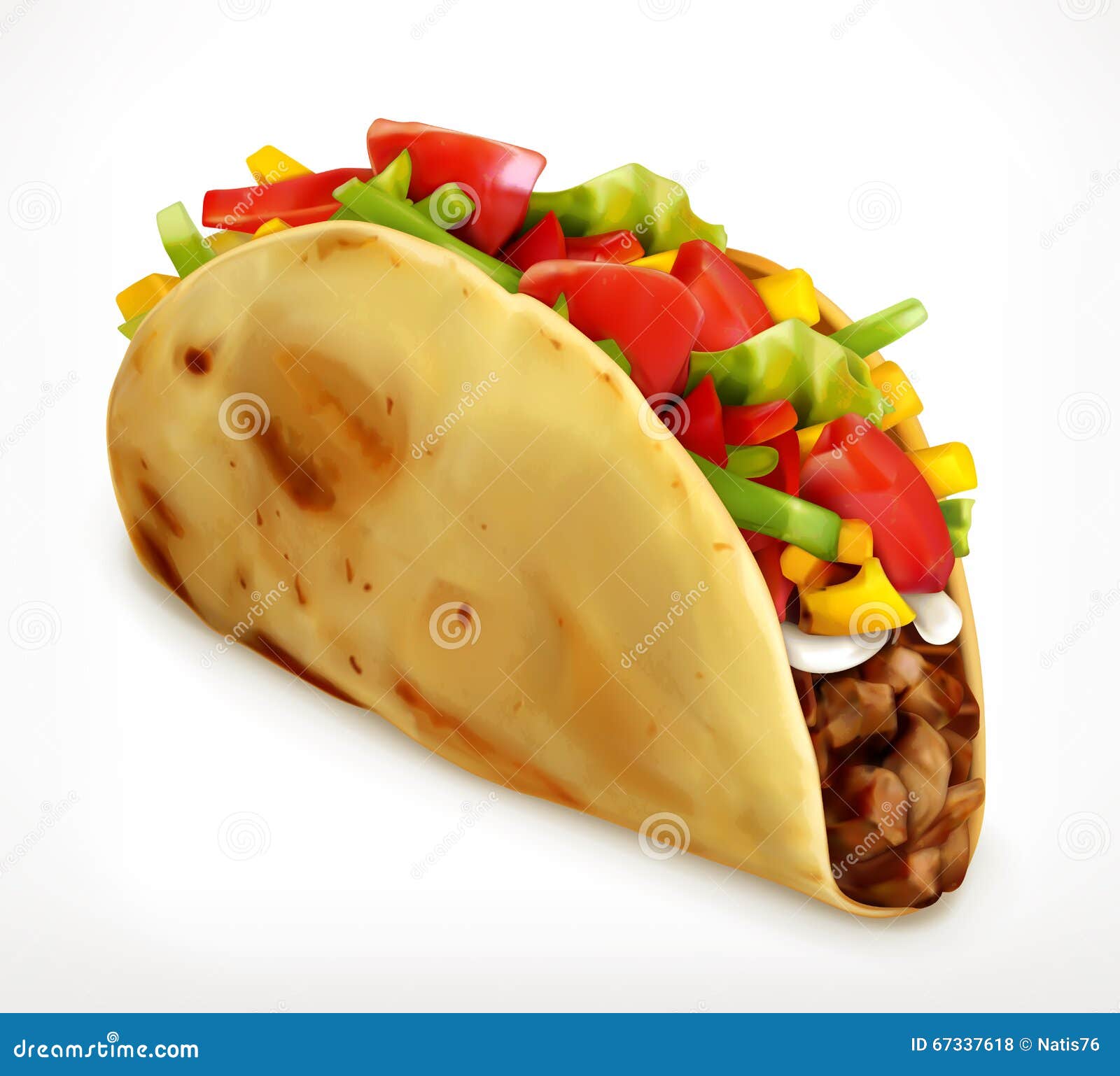 Real Taco Vector