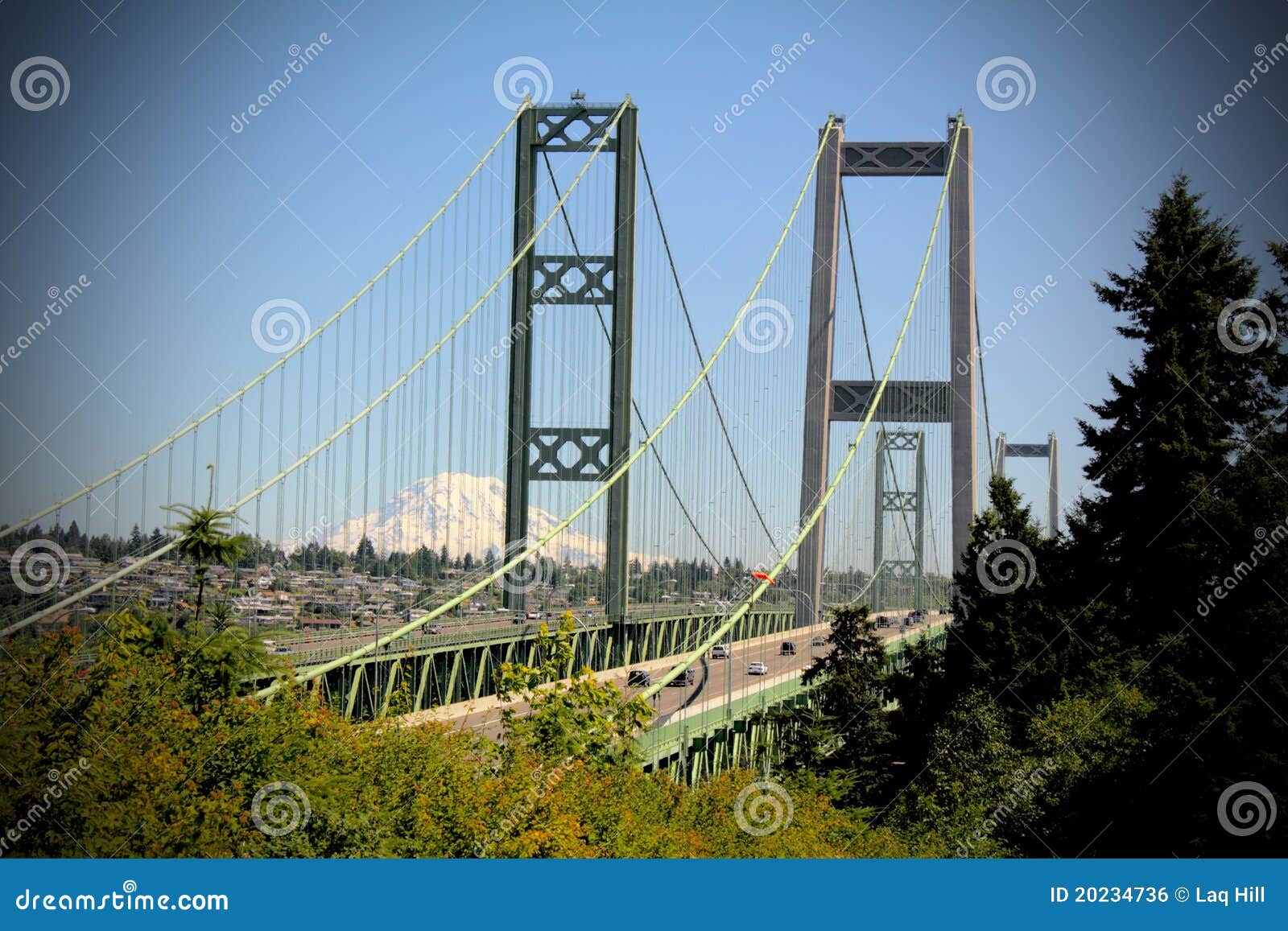 Tacoma Narrows Bridge and Mt Rainier Stock Photo - Image of destination ...