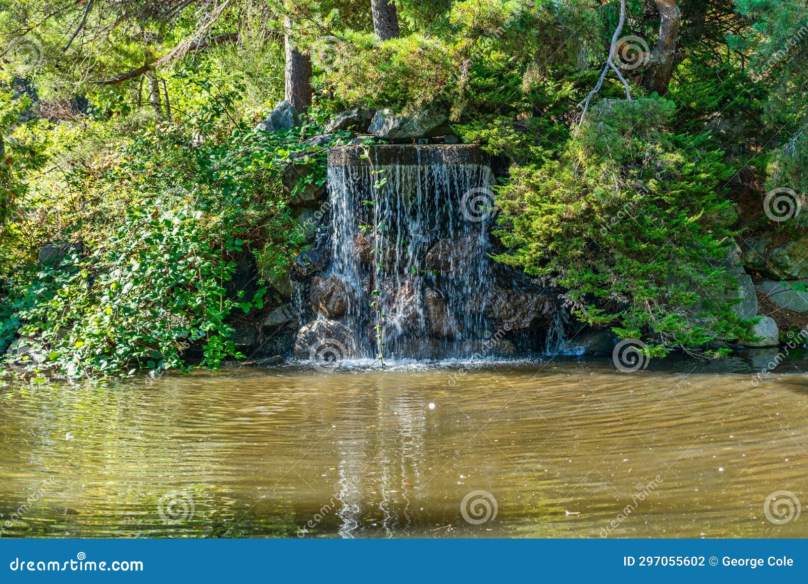 Tacoma Park Waterfall 2 stock photo. Image of poind - 297055602