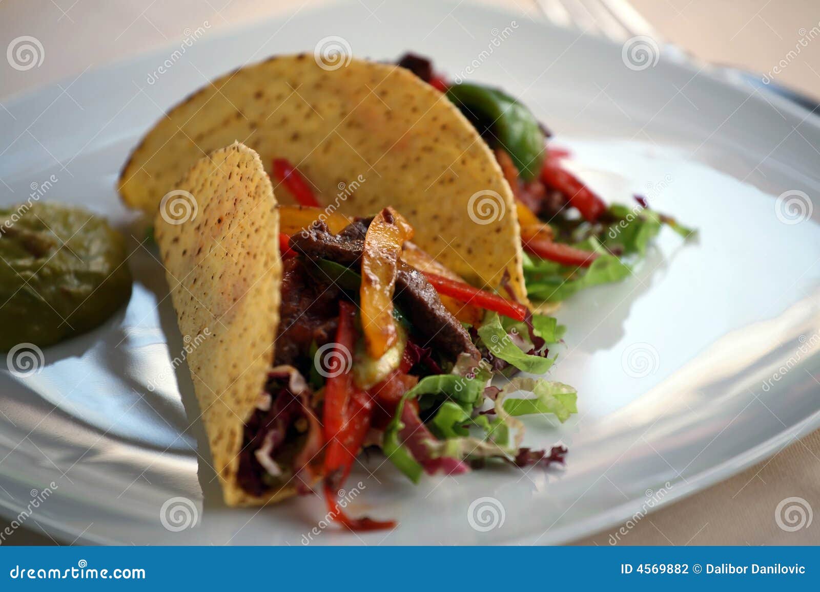 Tacos on a plate stock photo. Image of salad, shredded - 4569882
