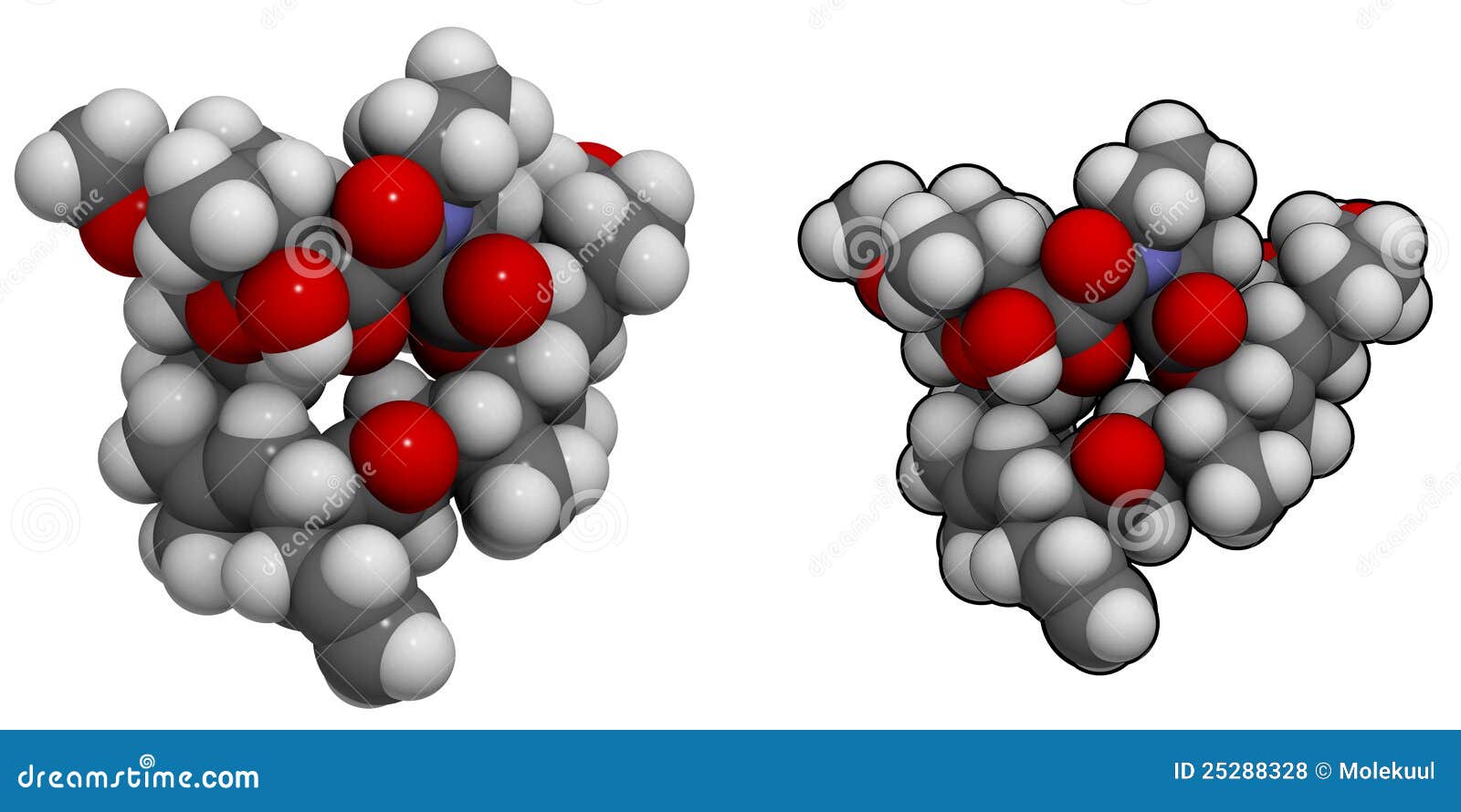 Tacrolimus, FK-506 Or Fujimycin Molecule. It Is Potent ...