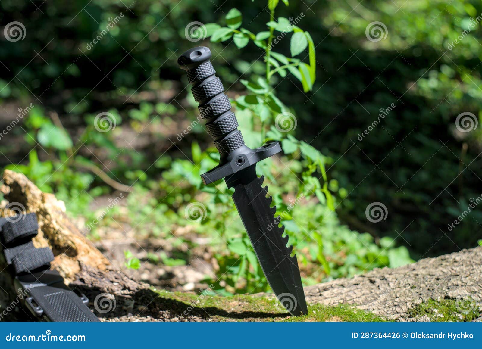 Tactical Army Knife Stuck in a Tree in a Forest Stock Photo - Image of ...