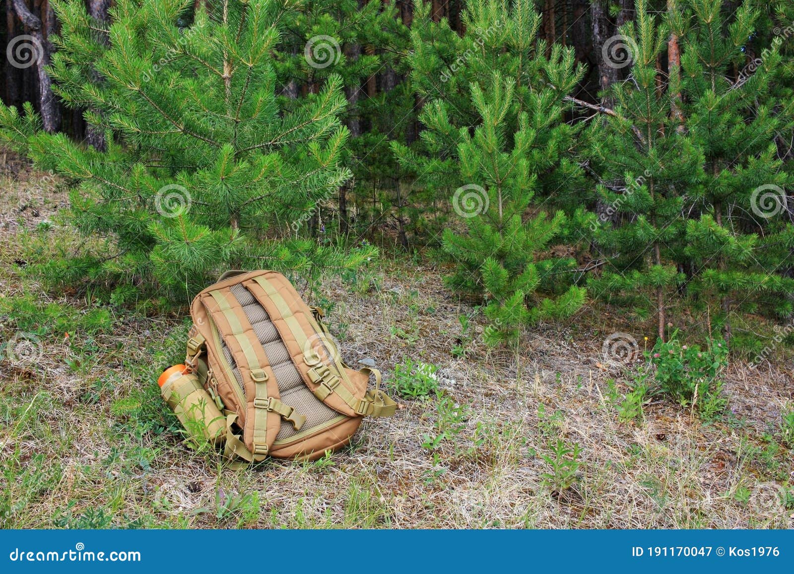 A Tactical Backpack Lies on the Grass Stock Image - Image of beautiful ...