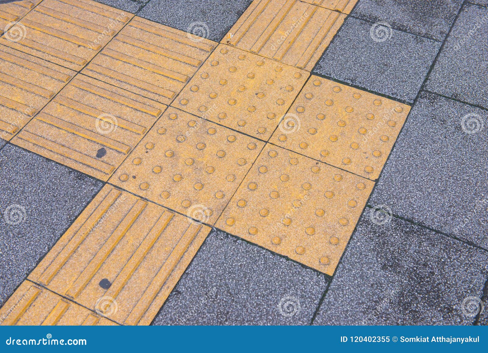Tactile Paving for Blind Handicap Stock Image - Image of braille, lines ...