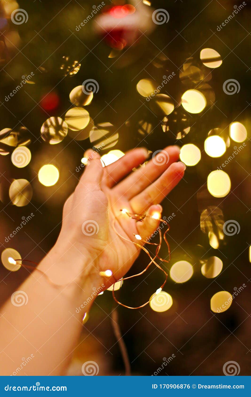 Tactility. the Feeling of Light at Dusk Stock Photo - Image of ...