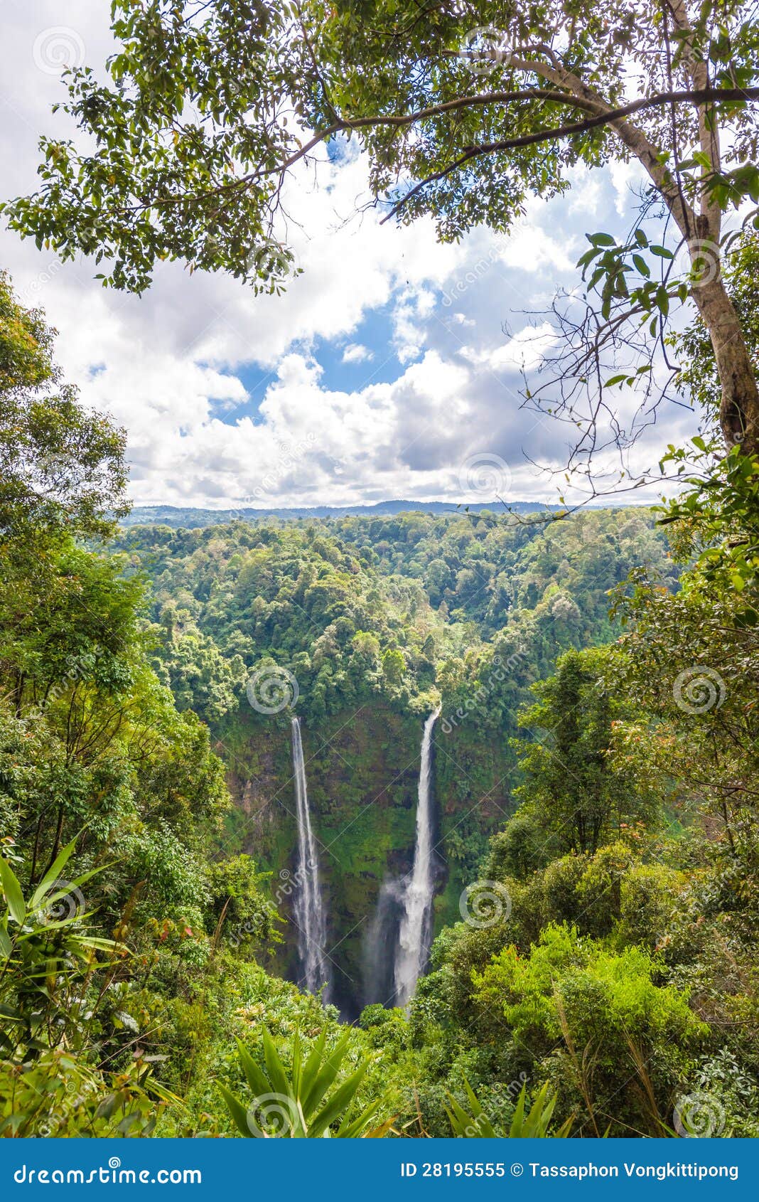 Tad Fan Waterfall in Southern Laos Stock Image - Image of lush, plants ...