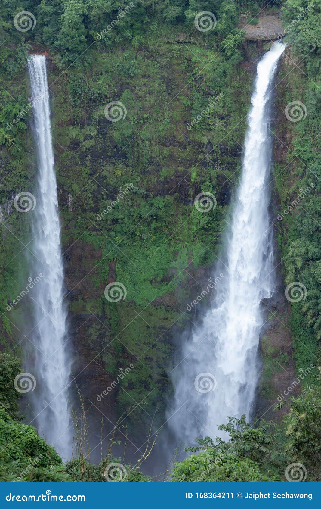 Tad Fane Waterfall Beautiful Waterfall Falling from a Cliff among the ...