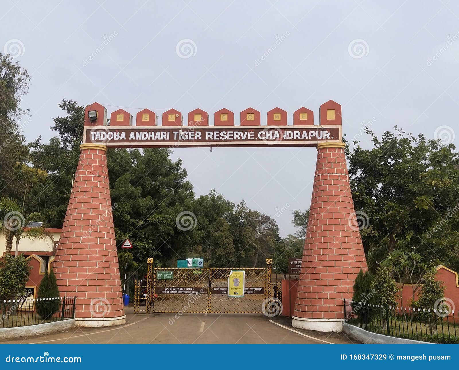 Tadoba in chandrapur editorial stock image. Image of chandrapur - 168347329