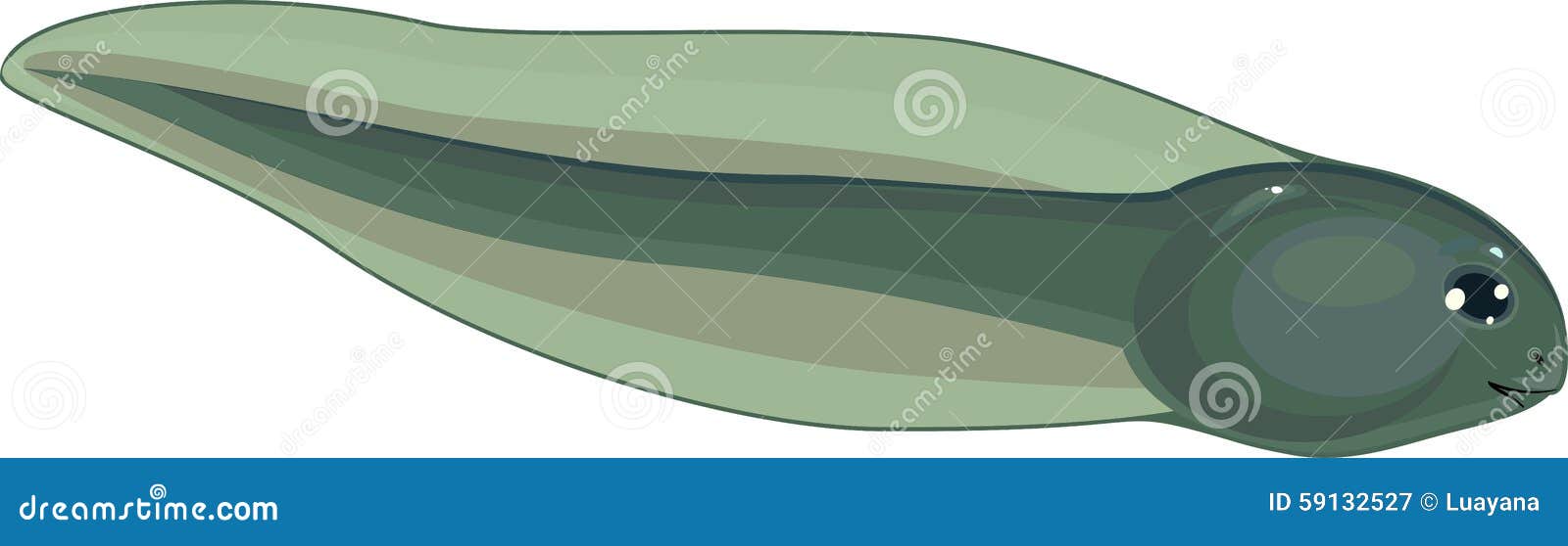 Cute Tadpole Swimming. Little Larval Froggy Floating. Baby Frog, Small ...