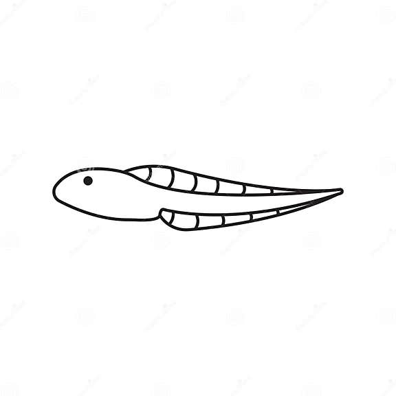 Tadpole icon vector stock vector. Illustration of symbol - 307232373