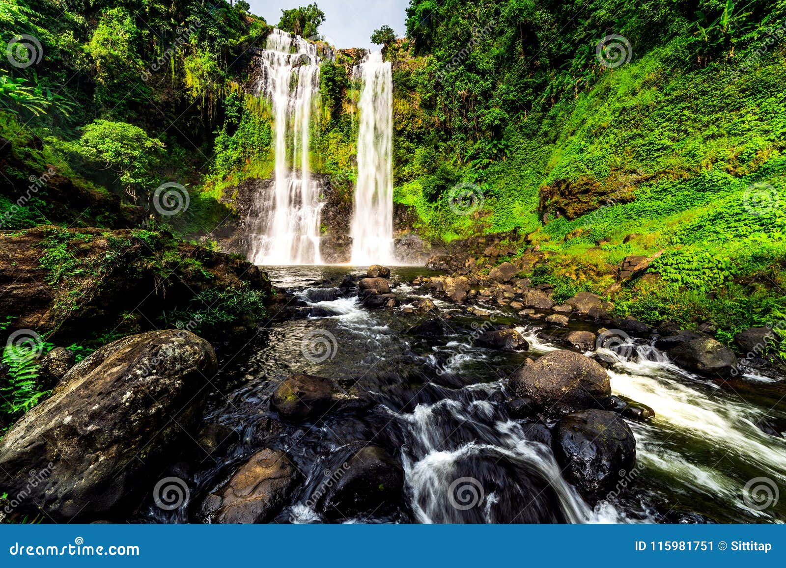 TadYeung Waterfall the High and Beautiful Waterfall in Laos Stock Image ...