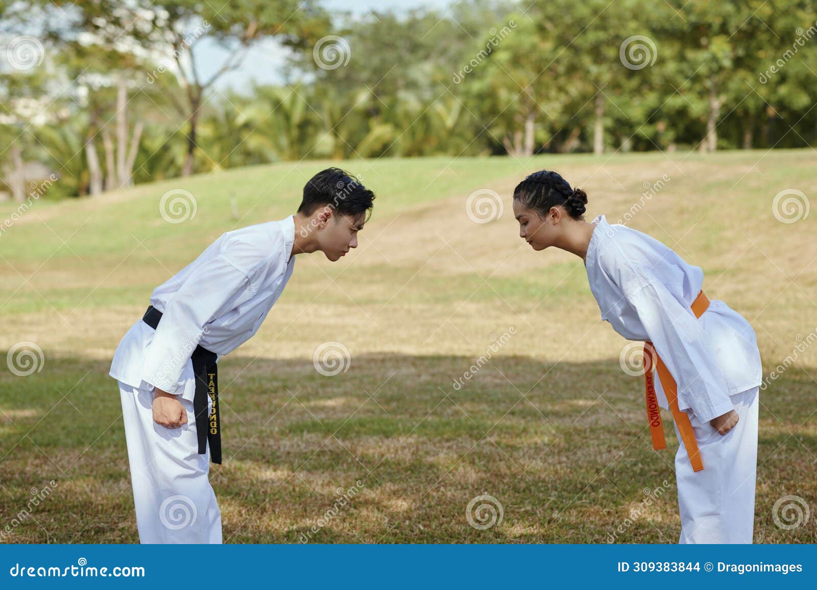 Taekwondo Athletes Bowing Each Other Stock Photo - Image of orange ...