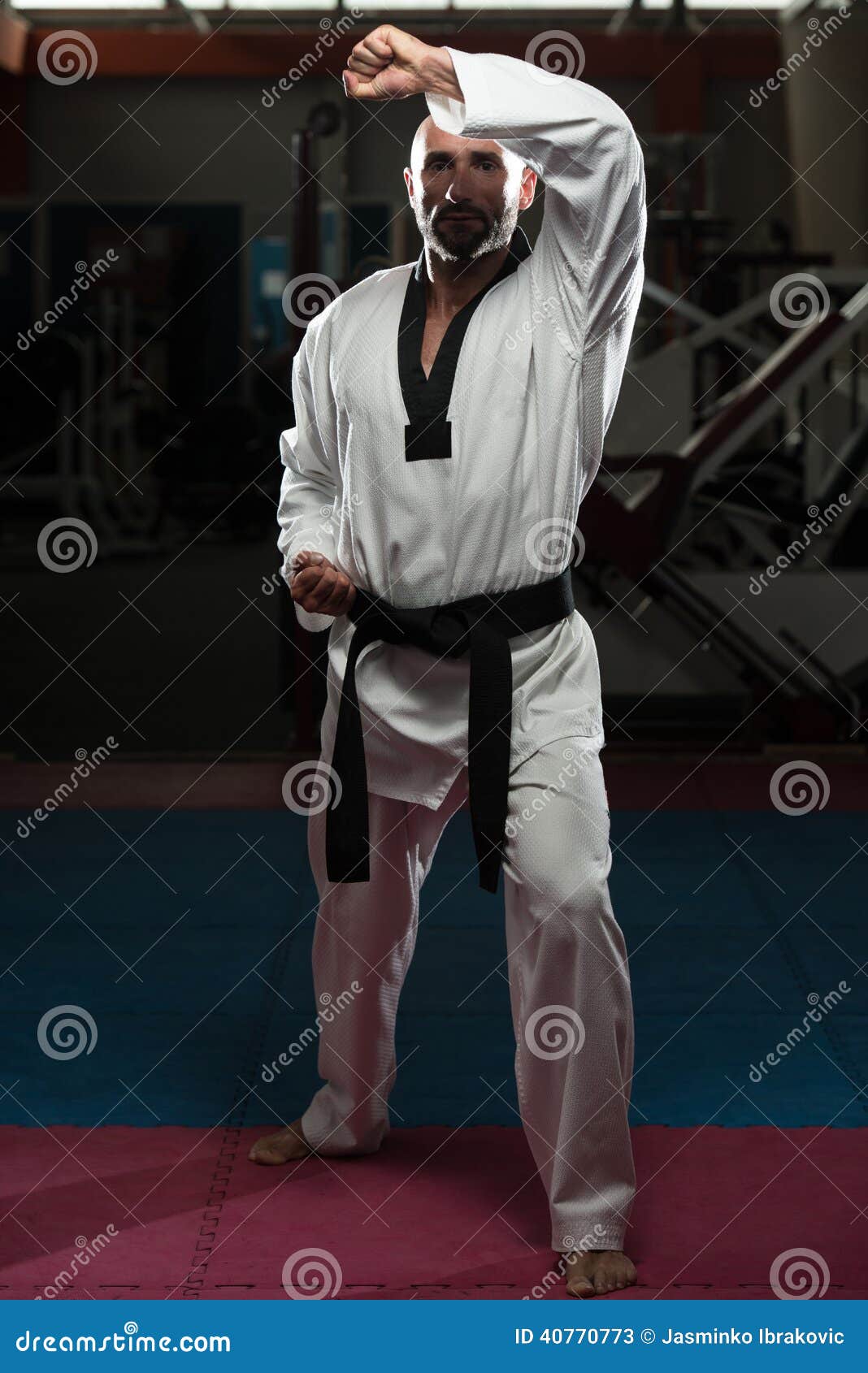Taekwondo Fighter Pose stock image. Image of looking - 40770773