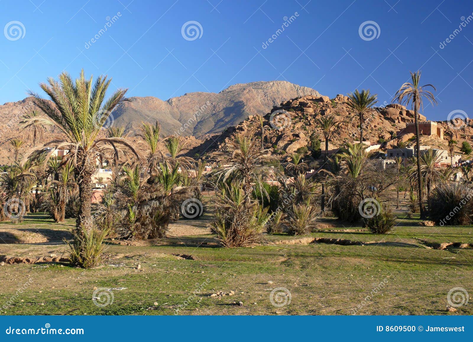 Tafraoute, Morocco stock photo. Image of oasis, tafraoute - 8609500