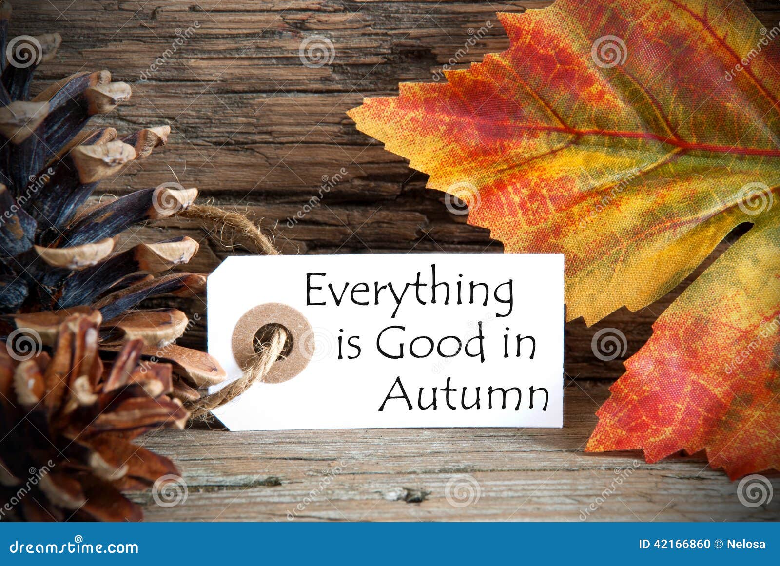 Tag with Everything is Good in Autumn Stock Photo - Image of school ...