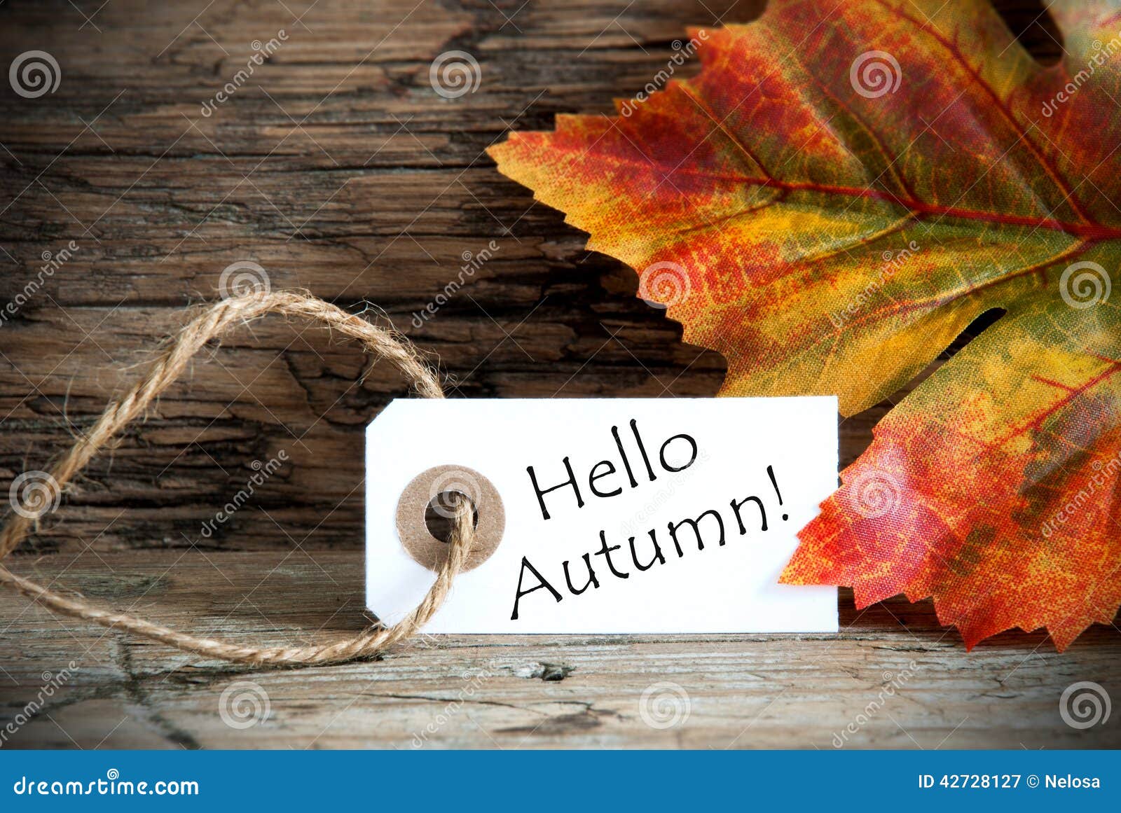 Tag with Hello Autumn stock image. Image of card, leaf - 42728127