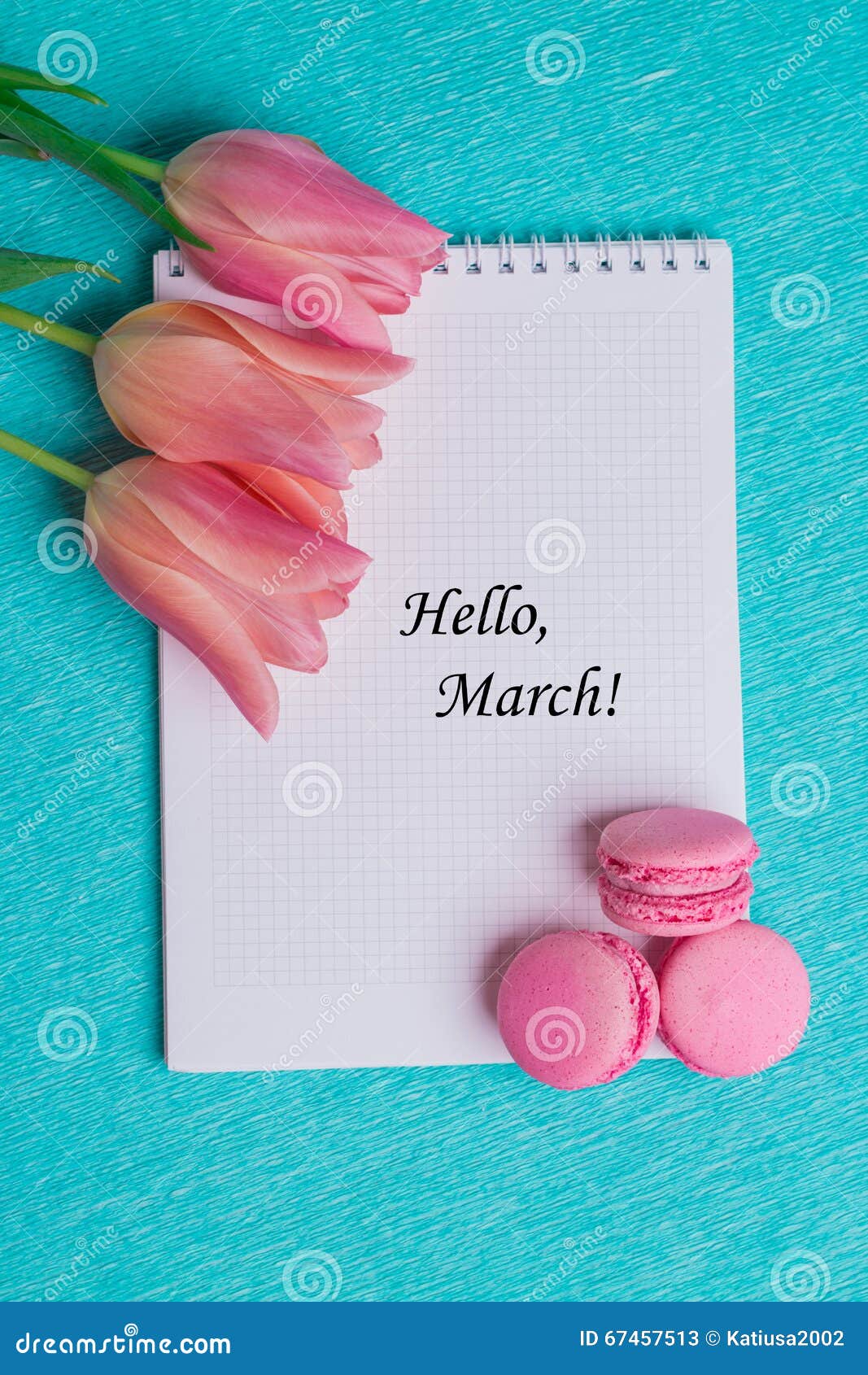 Tag Hello March with Three Pink Tulips and Three Pink Macaroons Stock ...